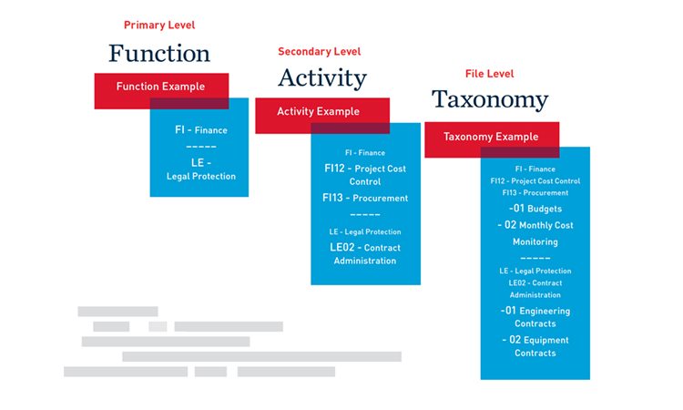 Classification Form And Function Opencurriculum